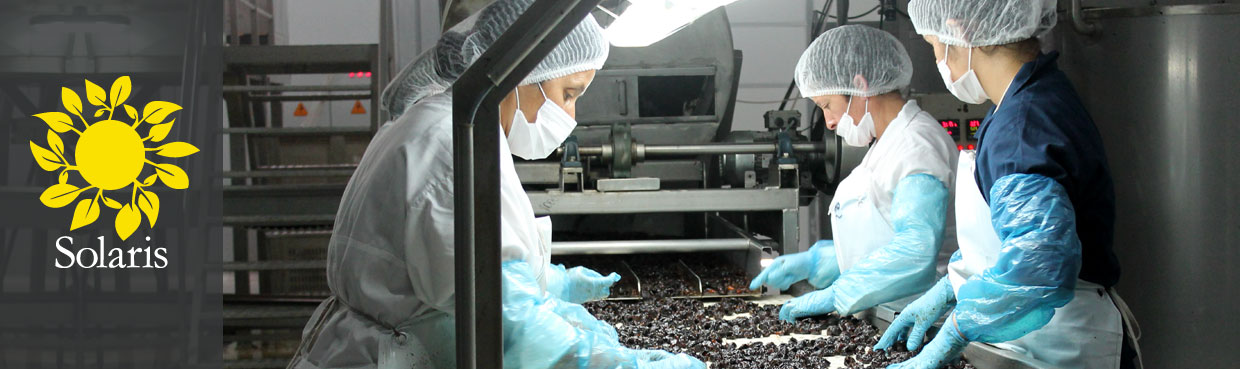 Contáctenos | Solaris Chile